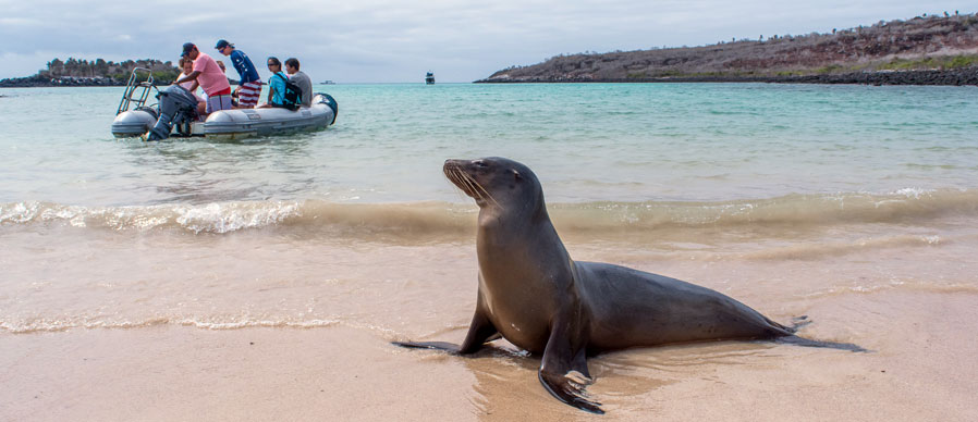 Volunteer Abroad Ecuador | Galapagos Volunteer Vacation